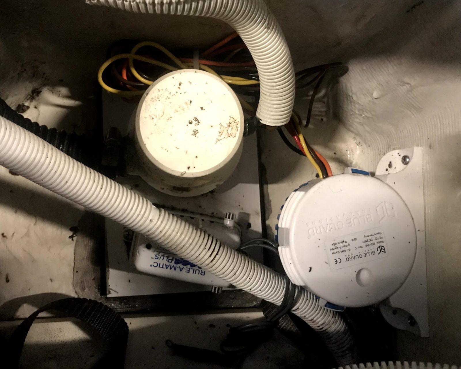 Testing Blue Guard's BG-One oil detecting bilge pump switch - Panbo