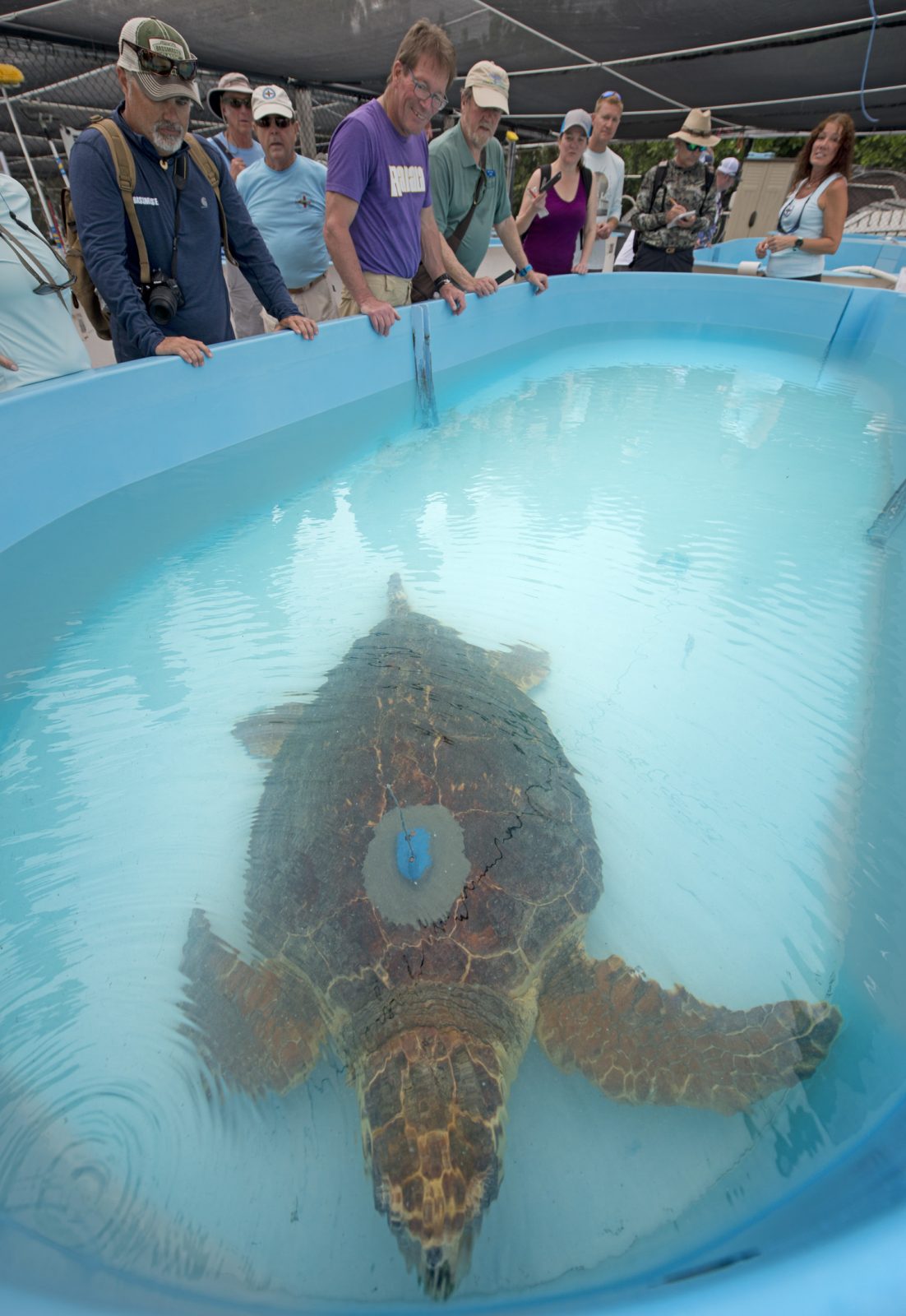 Mr T goes to sea, hopefully leaving us a safety lesson - Panbo