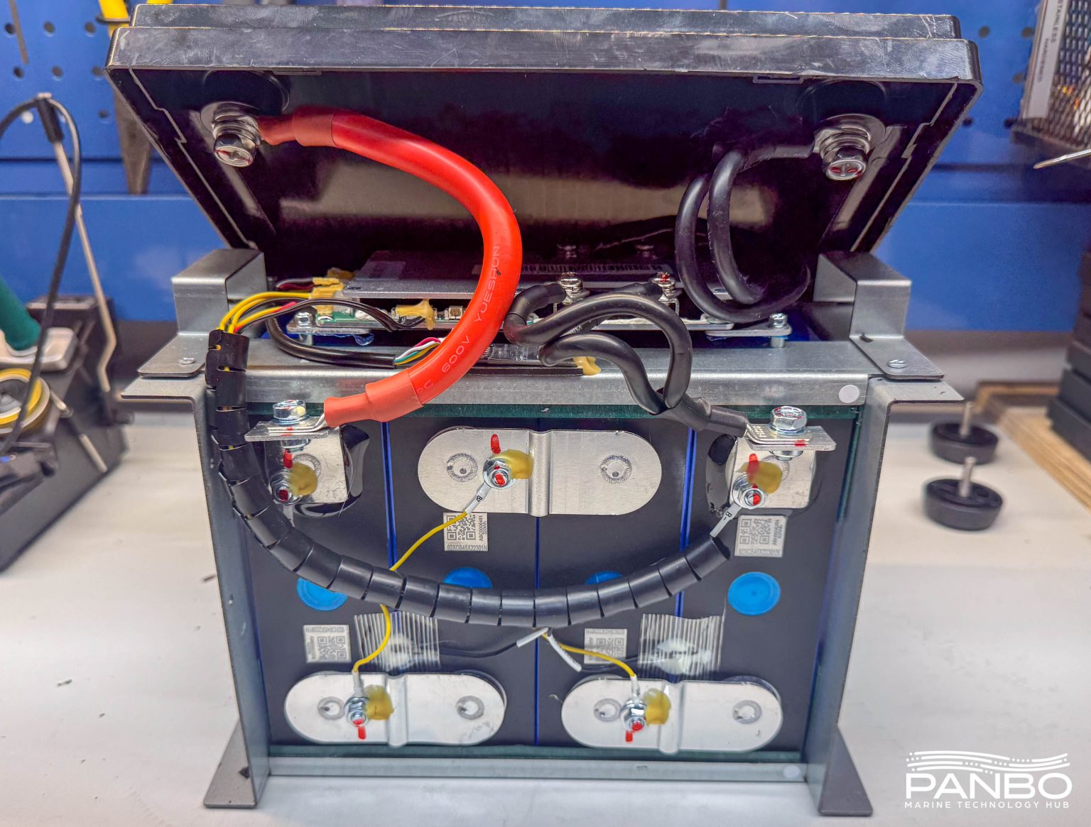 WattCycle LiFePO4, value battery with a punch - Panbo